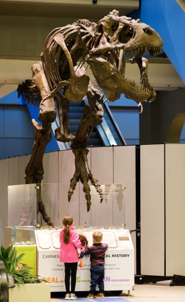 T-Rex Cast from the collection of PIT Art in the Airport Program ...