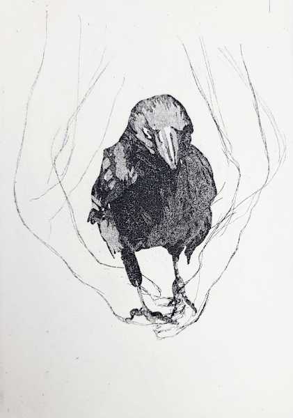 Crow and hands Etching 2 by PHILIP HARTIGAN | Artwork Archive