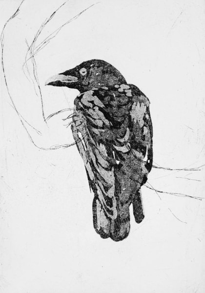 Crow and Hands Etching 4 by PHILIP HARTIGAN | Artwork Archive