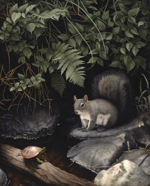 Turtle and Squirrel by Susan McDonnell | Artwork Archive