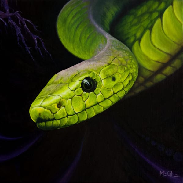 Mamba from the exhibition Nature Homage: A Juried National Exhibition ...