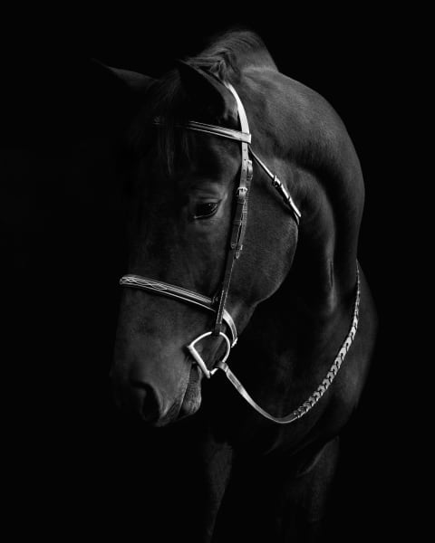 Exclusive from the exhibition Nature Homage: A Juried National ...