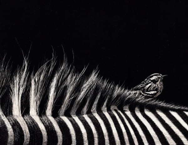 Meet my New Back-up Camera from the exhibition Nature Homage: A Juried ...