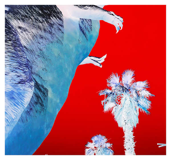 Cabazon Dinosaur Park Afterimage from the exhibition VIVID: A Juried ...