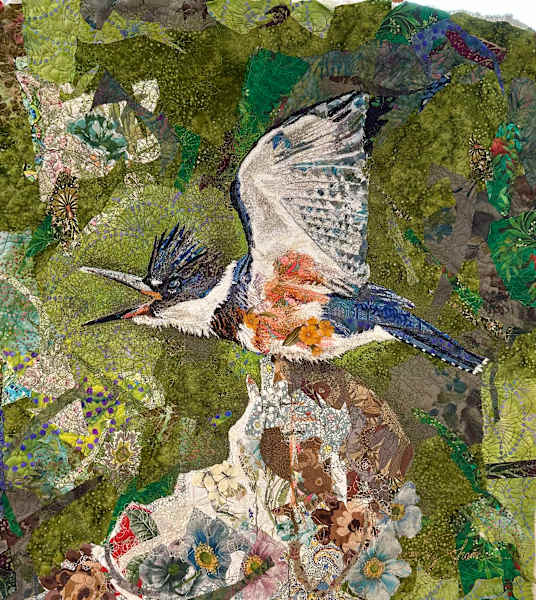 "Here I Come" Belted Kingfisher by Susan Fay Schauer | Artwork Archive