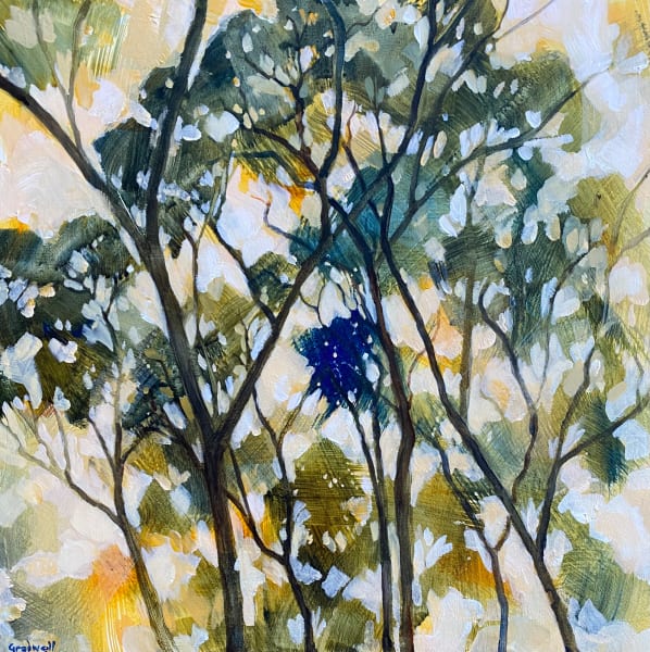 Evening Canopy by Kate Gradwell | Artwork Archive