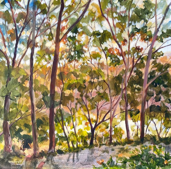 Time Immemorial by Kate Gradwell | Artwork Archive