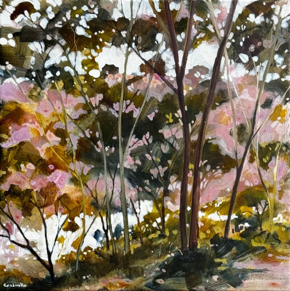 Evening Blush by Kate Gradwell | Artwork Archive