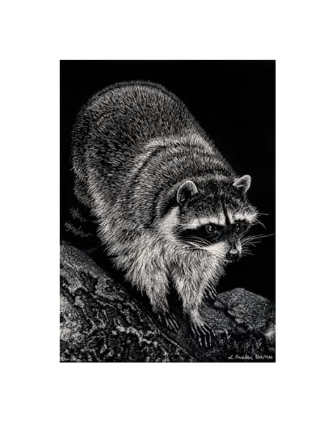 Trash Panda by Lonetta Avelar | Artwork Archive