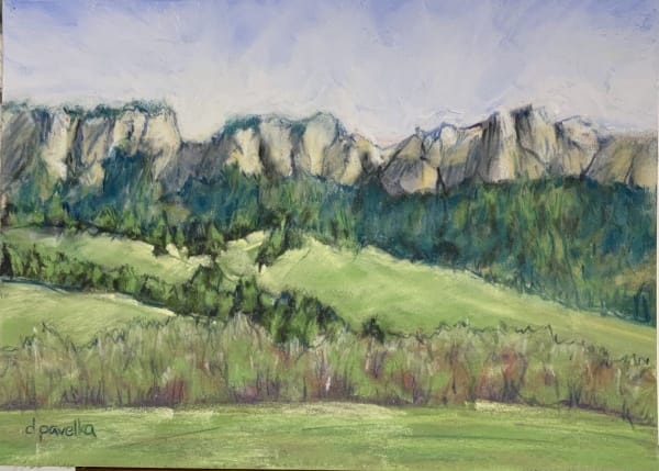 Scenic Pine Ridge (framed) by Diane Pavelka | Artwork Archive