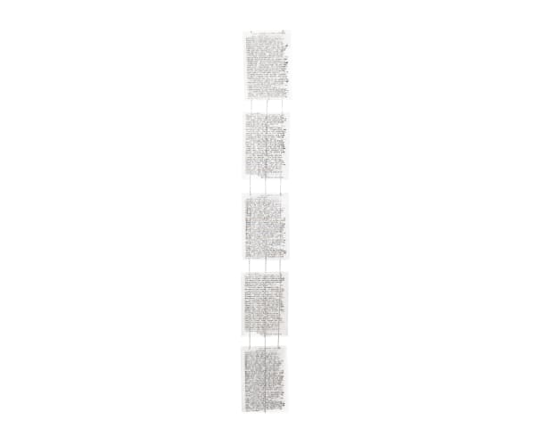 The Albrecht Letter by Damon Hamm | Artwork Archive