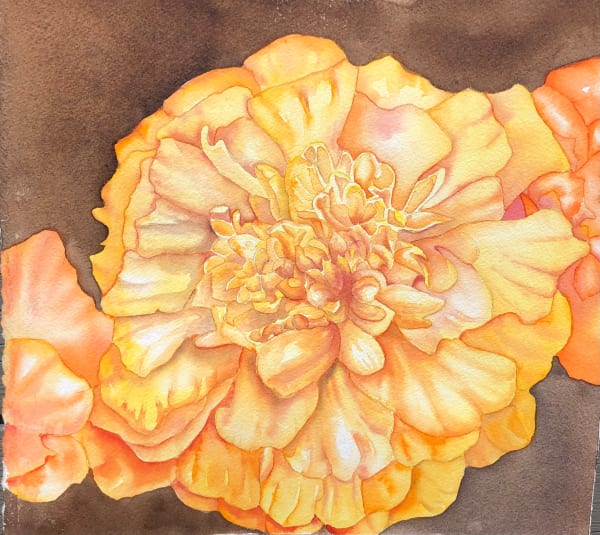 Marigold by Sarah Scott Falk | Artwork Archive