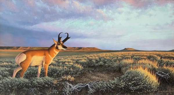 Sage Creek Basin | Antelope by Mark H Swenson | Artwork Archive