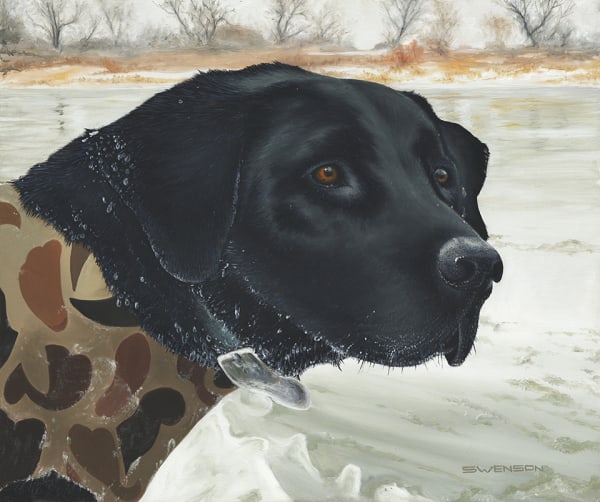 Cold Work | Black Lab by Mark H Swenson | Artwork Archive