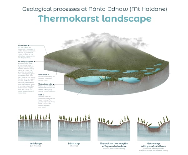 Thermokarst geological process at Mt. Haldane (Nánta Ddhaw) from the ...