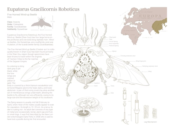 Steampunk Beetle from the collection of Guild of Natural Science ...