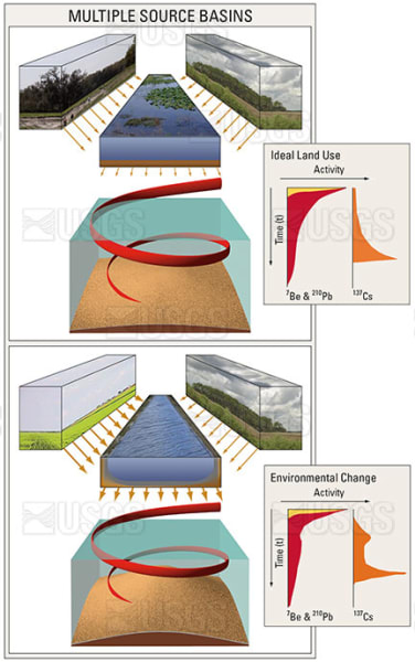 Multiple source basins from the collection of Guild of Natural Science ...