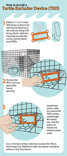 How to Install a Turtle Excluder Device (TED) from the collection of ...