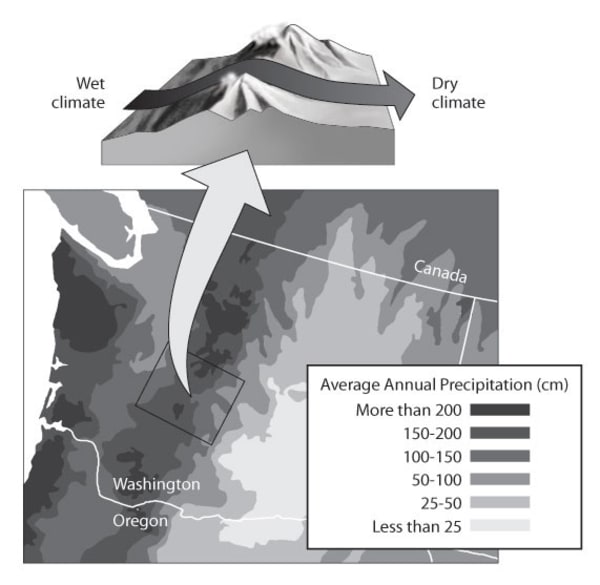 Rain Shadow from the collection of Guild of Natural Science ...