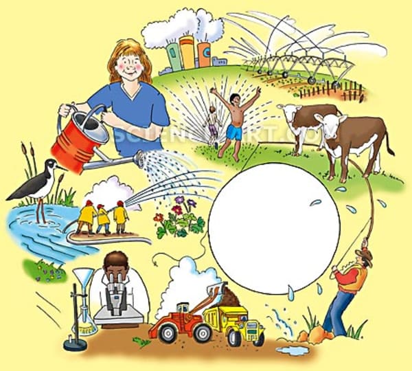 Why We Use Water from the collection of Guild of Natural Science ...