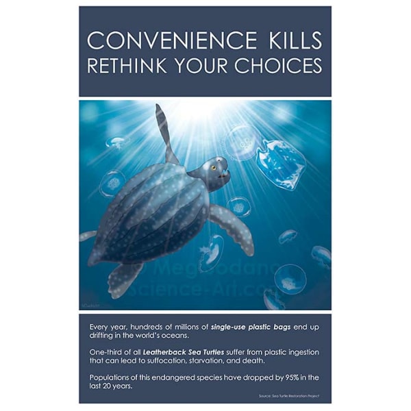 Leatherback Sea Turtle and Plastic Pollution from the collection of ...