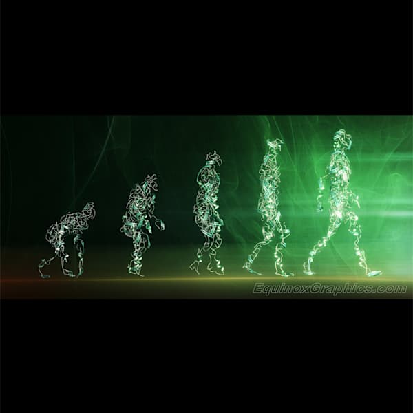 Darwinian protein evolution from the collection of Guild of Natural ...