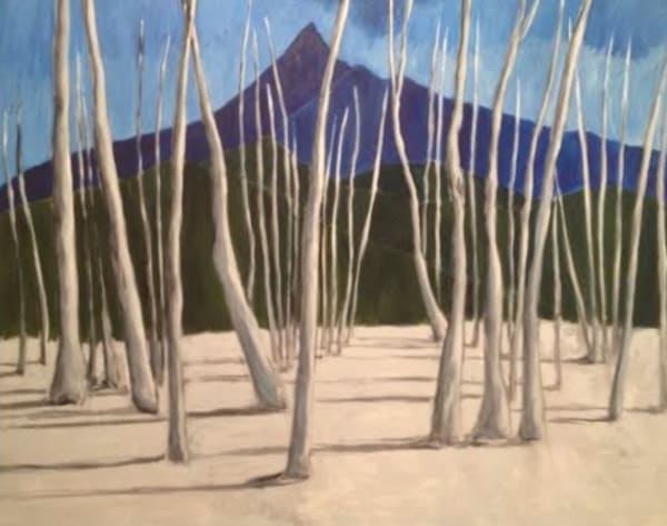 Patagonia by hugo anderson | Artwork Archive