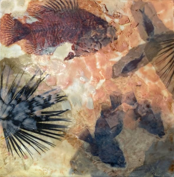 Ancient Life of Green River Formation Fossils II by Paula McCormick ...