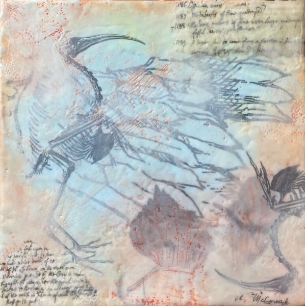 Local Extinction: Sacred Egyptian Ibis, II by Paula McCormick | Artwork ...