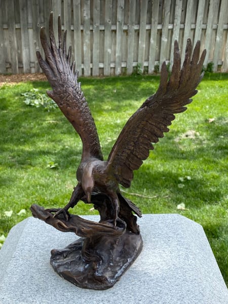 Operation Red Wings from the collection of City of Littleton Public Art ...