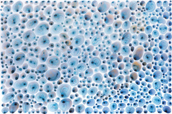 Blue Amoebas II from the collection of City of Littleton Public Art ...