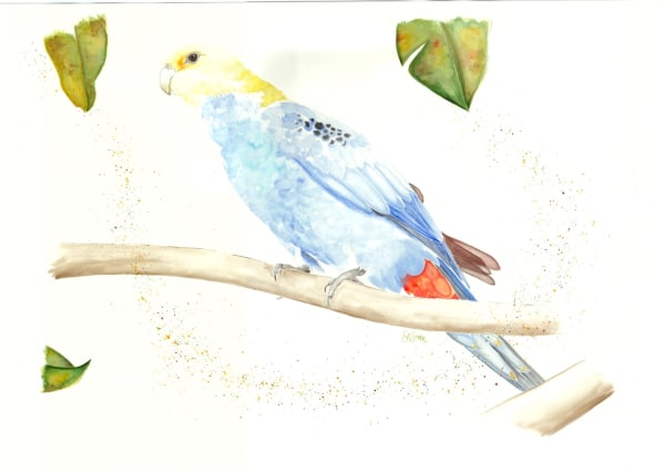 A Cause for Praise by Elizabeth Cooper | Artwork Archive