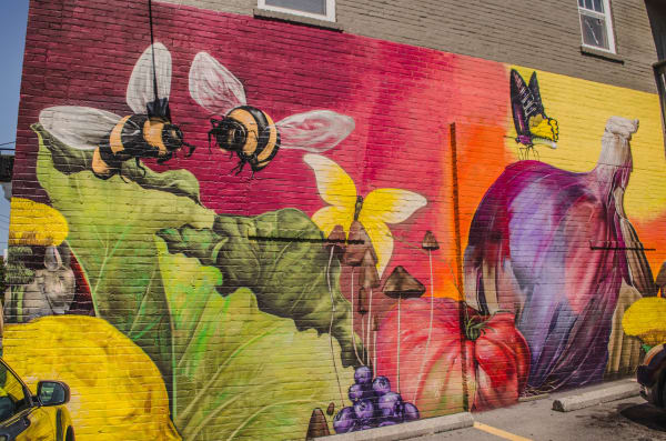 Vegetable Mural from the collection of Art in Roanoke | Artwork Archive