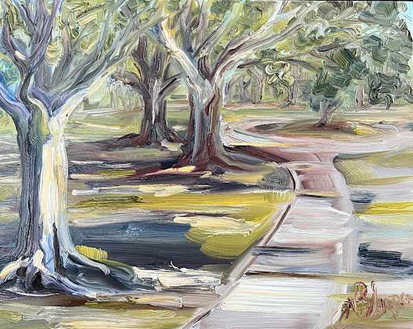 Magical Oaks, Tiedeman Park, Savannah by Nancy S Shippen | Artwork Archive