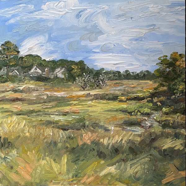 Morning Light - John Gilbert Nature Trail, St Simon's Island by Nancy S ...