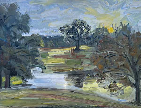 Oconee Light by Nancy S Shippen | Artwork Archive