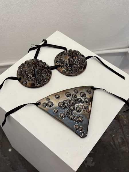 Raised Flesh Armor 3 piece set by kayla tange | Artwork Archive