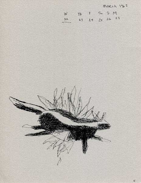 Bodies and Parts - 1.13 Remembering the Burning Skunk by Timothy Nero ...