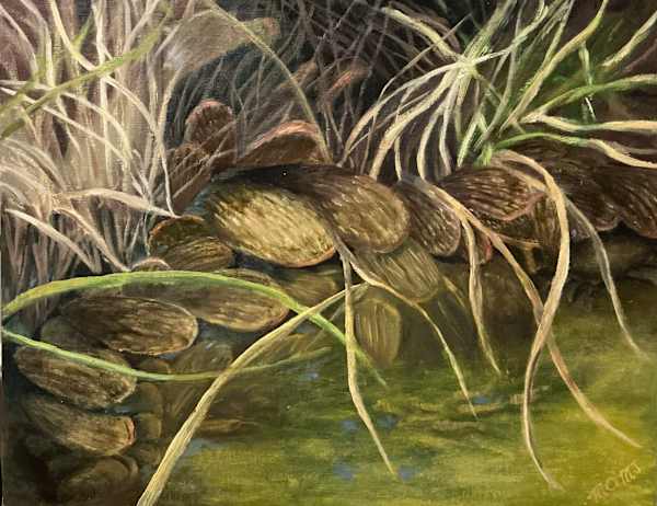 Marshes - Ribbed Mussels with wildlife by Mary O'Malley-Joyce | Artwork ...