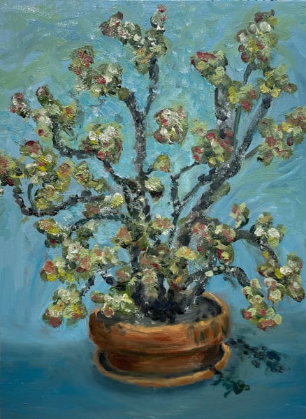 Jade Plant at Kula Urban Farm by Mary O'Malley-Joyce | Artwork Archive