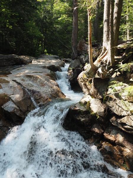 Basin Water Fall - Summer by Mary O'Malley-Joyce | Artwork Archive