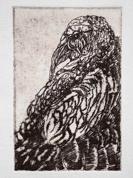 Puffed up by Philine van der Vegte | Artwork Archive