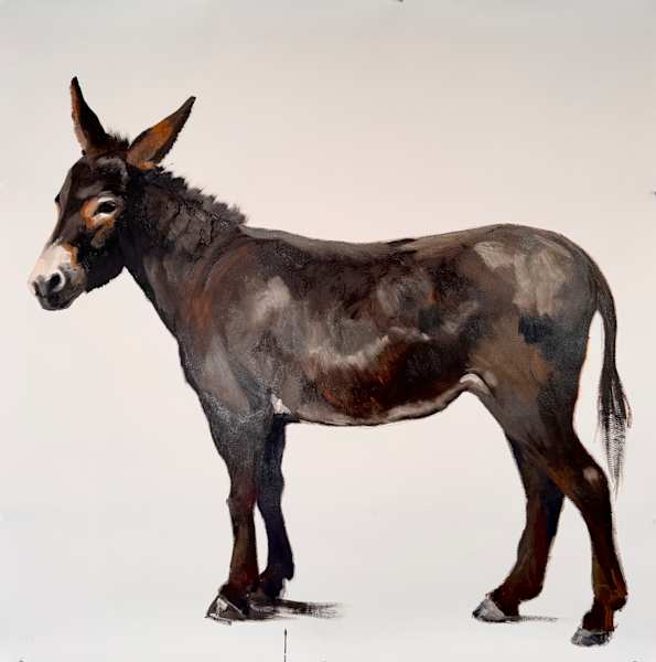 Rosa by Philine van der Vegte | Artwork Archive