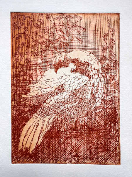Preening by Philine van der Vegte | Artwork Archive