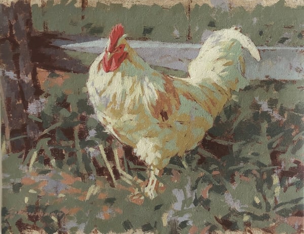 Rooster by Peter Schaumann | Artwork Archive