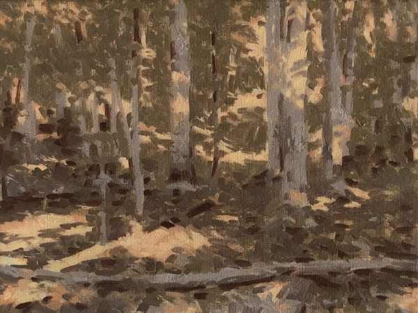 Tree light II by Peter Schaumann | Artwork Archive