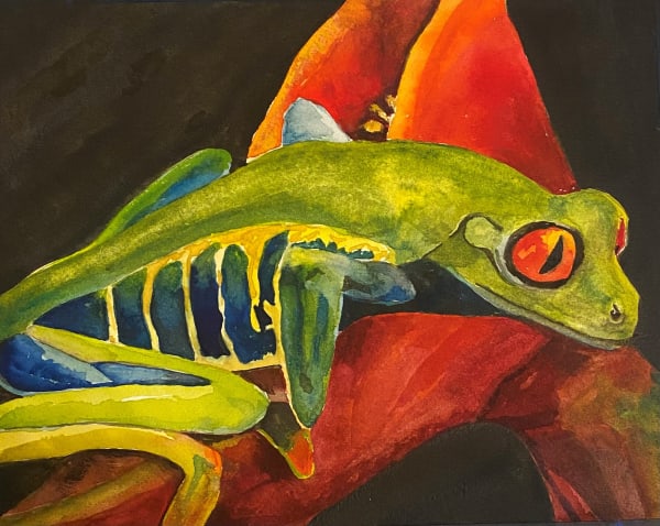 African Tree Frog by Jennifer G. Guerra | Artwork Archive