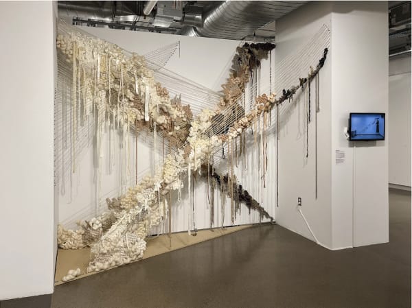 Weird skin project_immersive from the collection of Chicago Fine Art ...