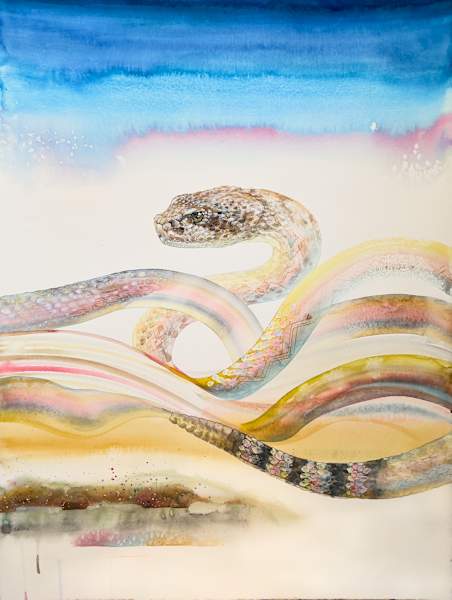 Diamondback by Laura Ball | Artwork Archive