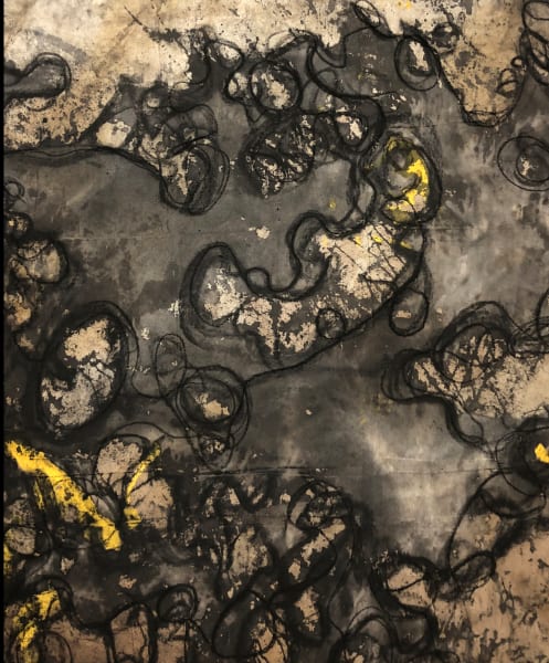 Collection Homeland/Tūrangawaewae from Sarah Pumphrey | Artwork Archive